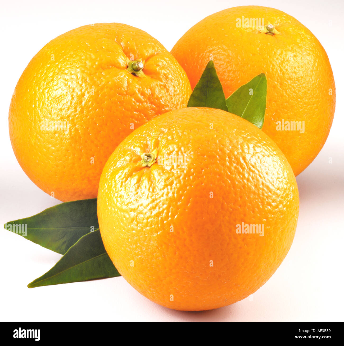 THREE ORANGES WITH LEAVES Stock Photo - Alamy