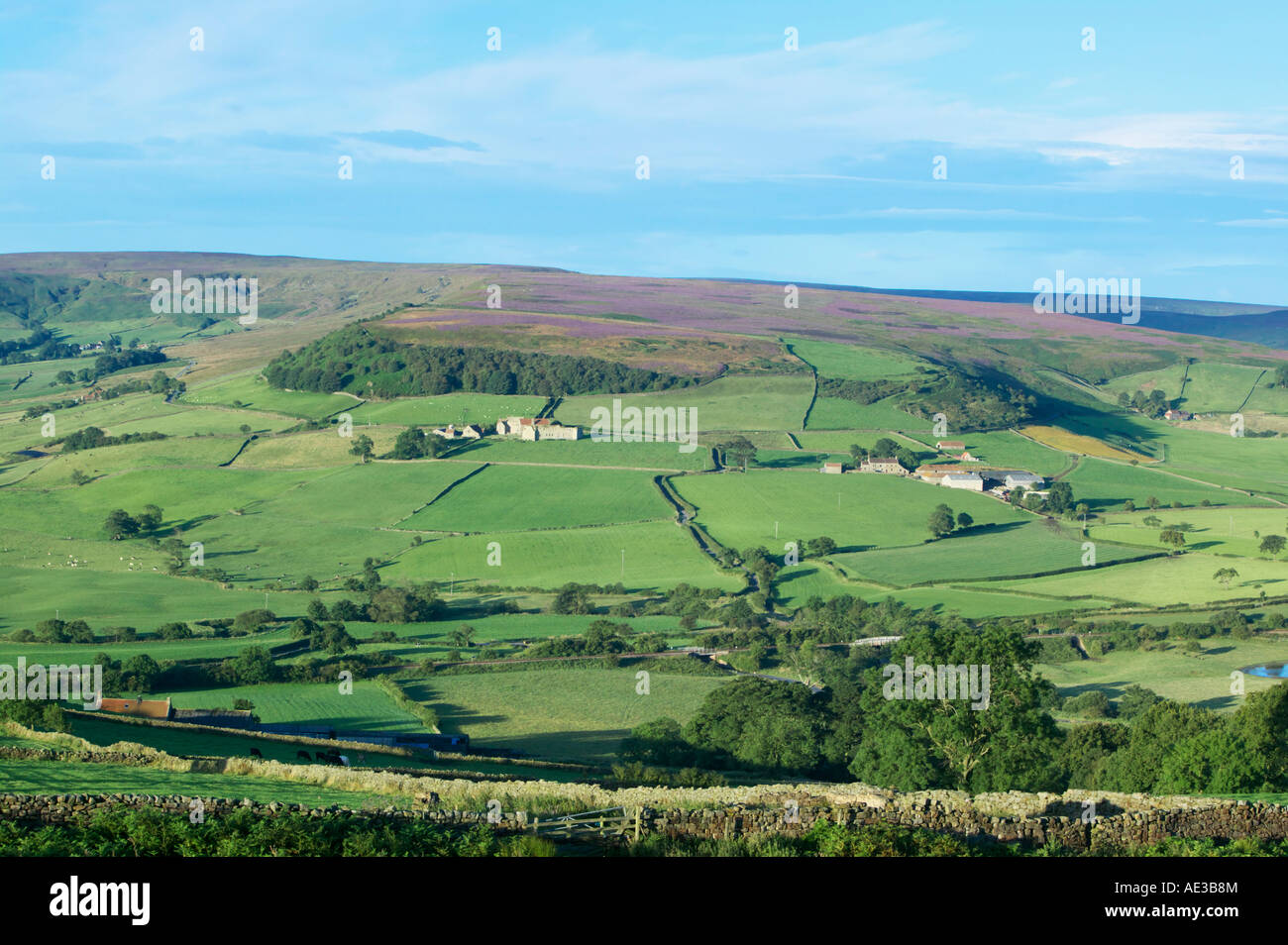 Countryside danby field hi-res stock photography and images - Alamy
