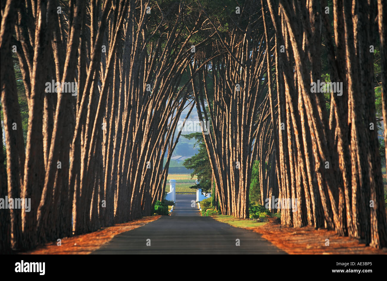 Road Pillar High Resolution Stock Photography and Images - Alamy