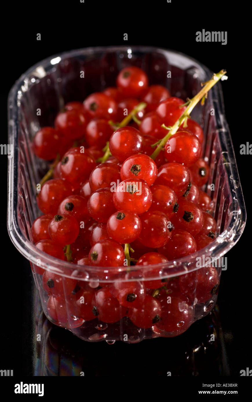 Red berries (currant) on black background in plastic box Stock Photo ...