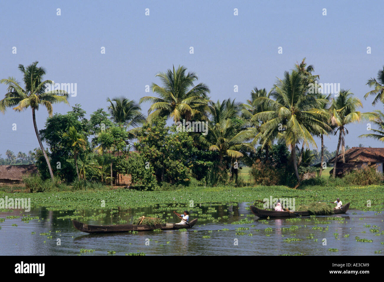 India Kerala backwaters Stock Photo - Alamy