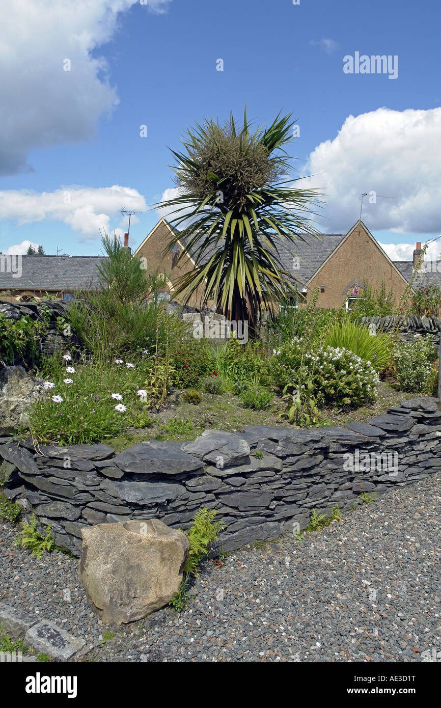 Scottish palm tree hi-res stock photography and images - Alamy