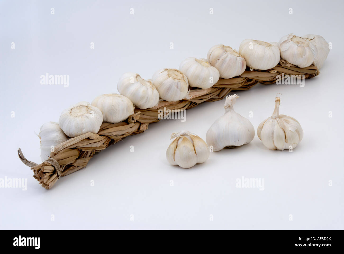 Garlic (Allium sativum), bulbs pleated together , studio picture Stock ...