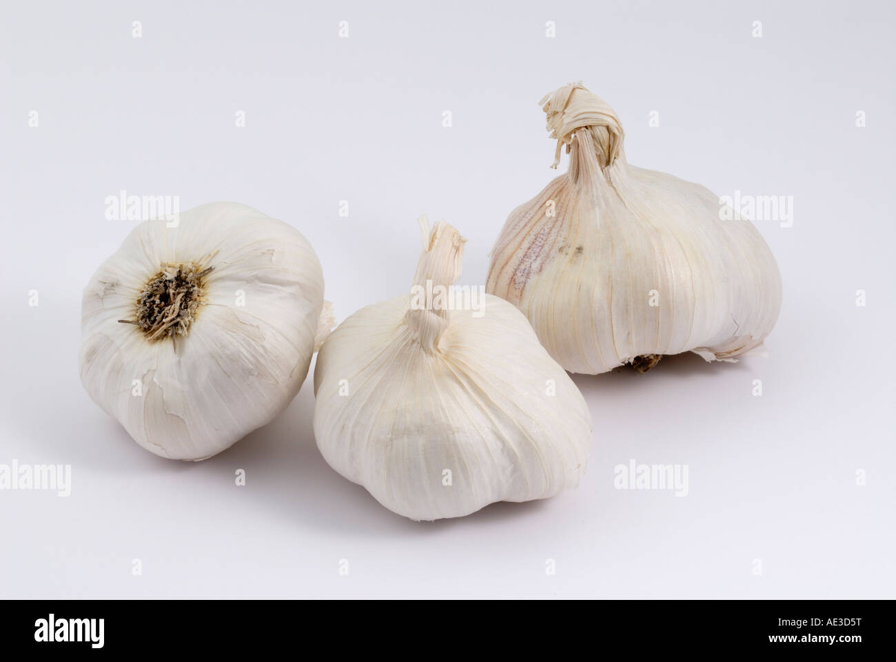 Garlic (Allium sativum), bulbs, studio picture Stock Photo - Alamy