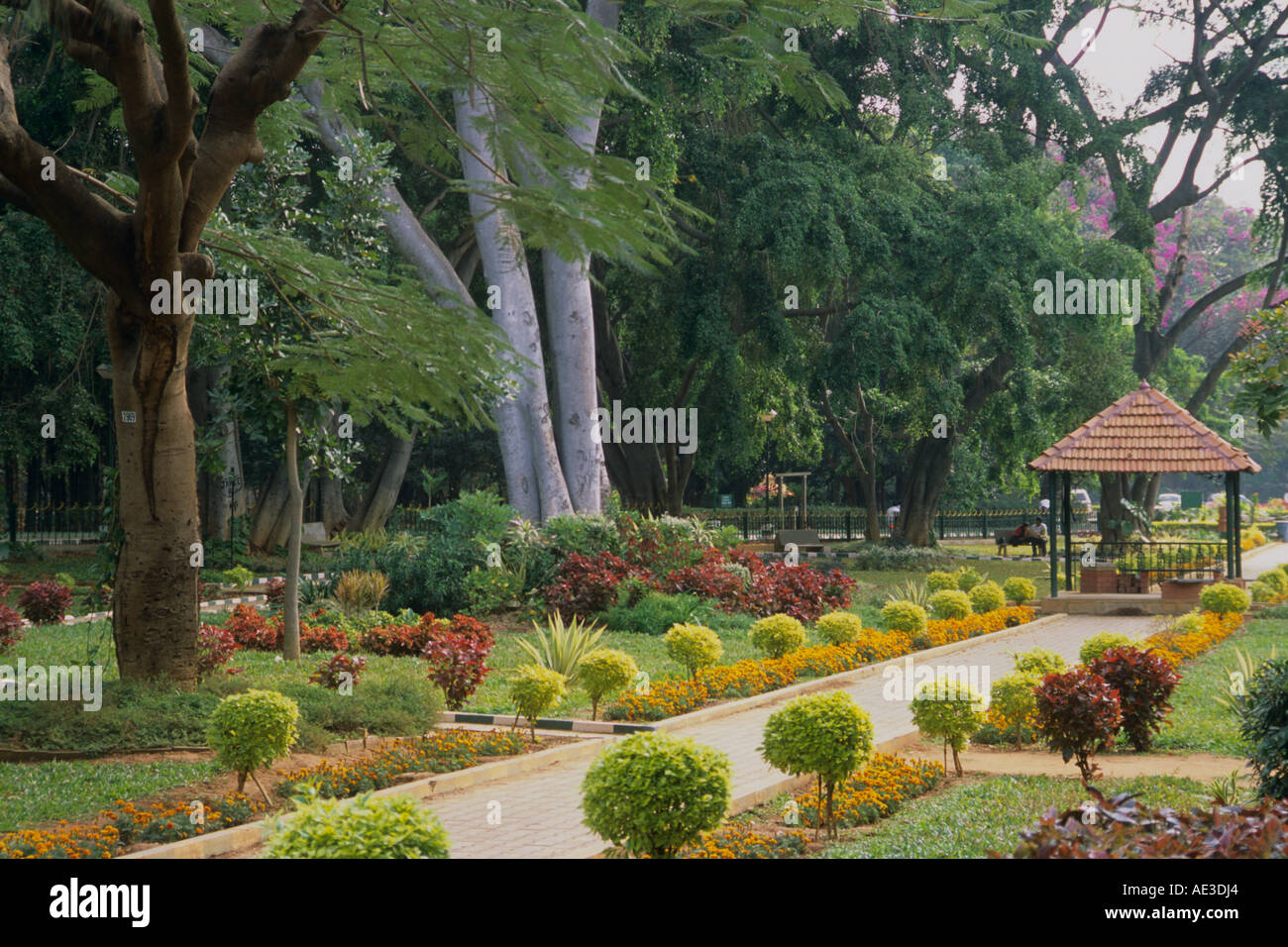 India Karnataka Bangalore Cubbon Park Stock Photo - Alamy