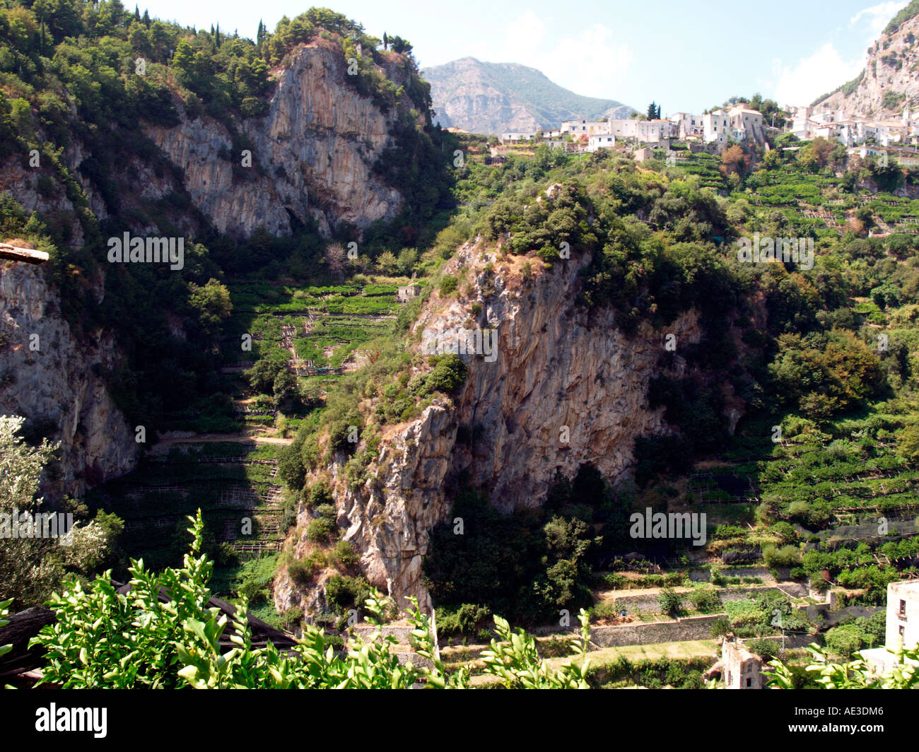lemon groves in mountains above Amalfi in Italy Stock Photo - Alamy