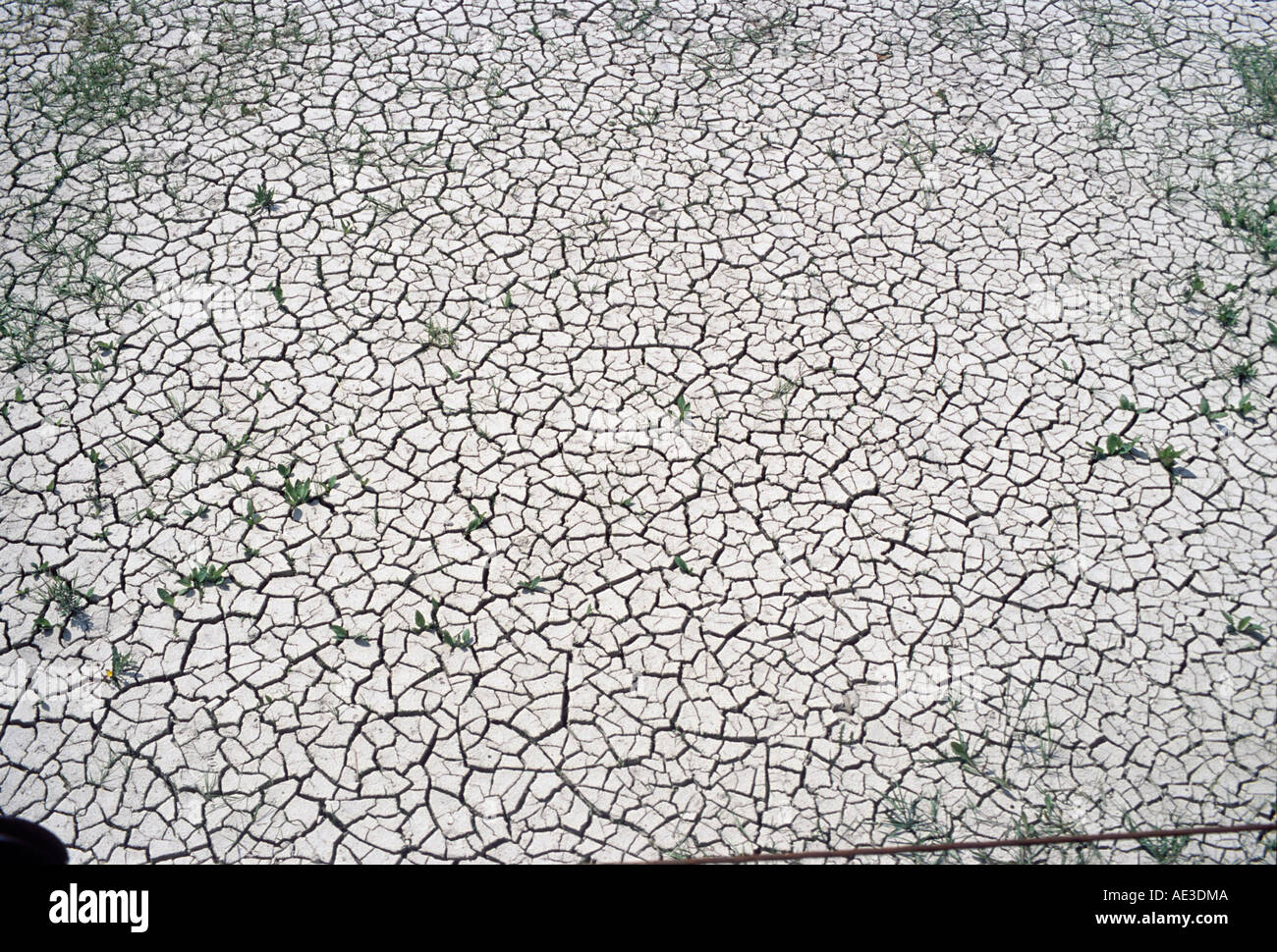 pattern formed in dried and cracked river bed Stock Photo - Alamy