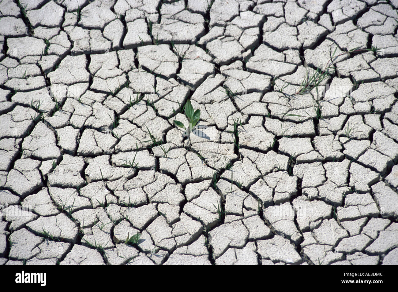 pattern formed in dried and cracked river bed Stock Photo - Alamy