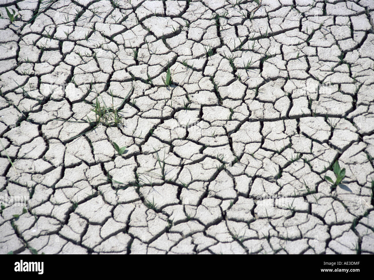 cracked earth during drought Stock Photo - Alamy