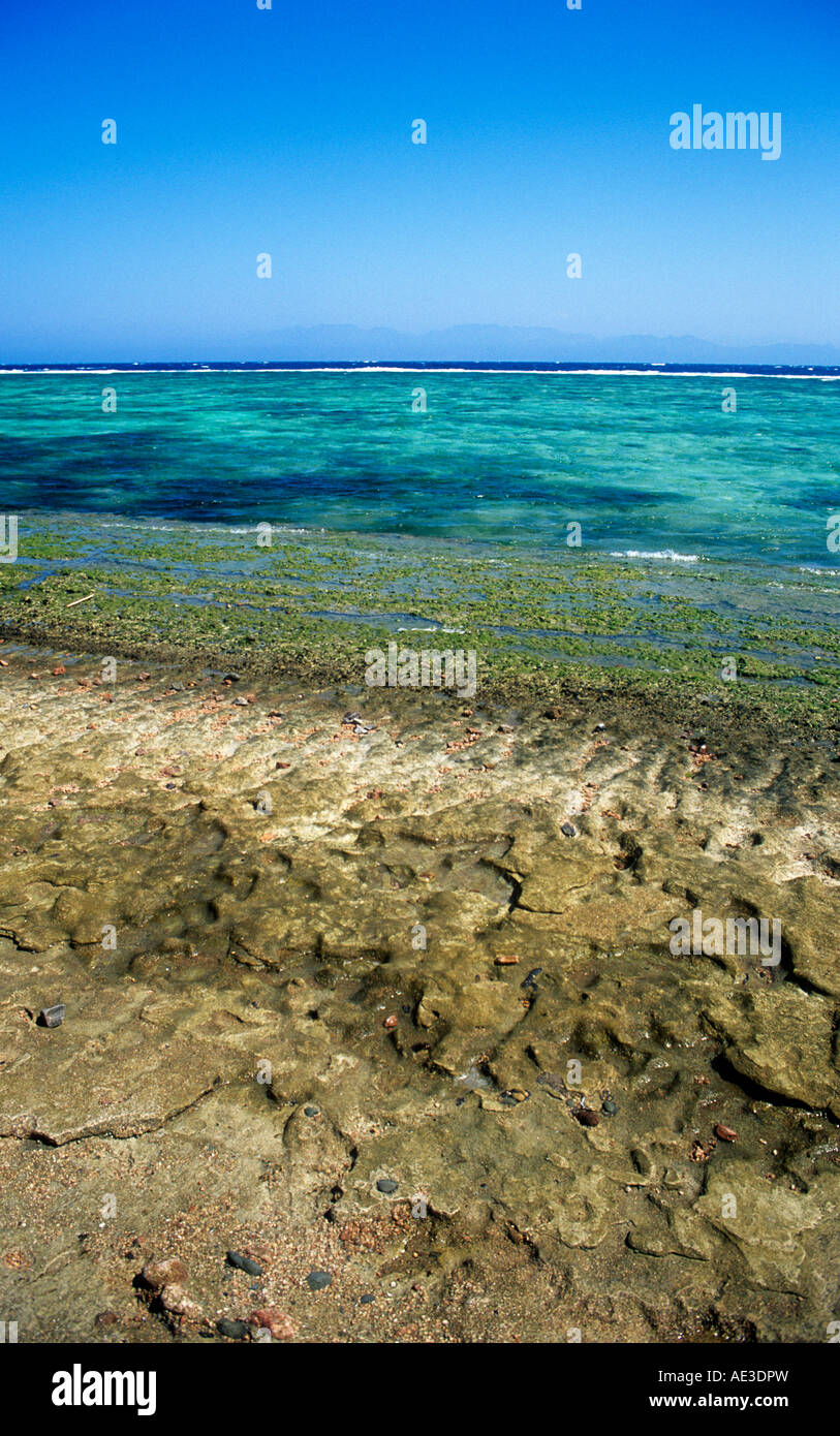 The reef off Dahab, Red Sea, Egypt Stock Photo - Alamy