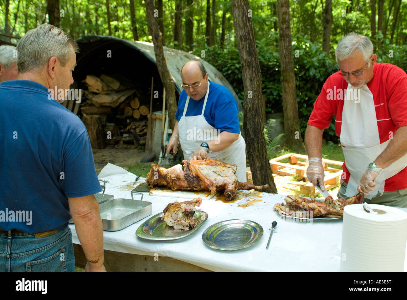 Barbeque in the Forest Stock Photo - Alamy