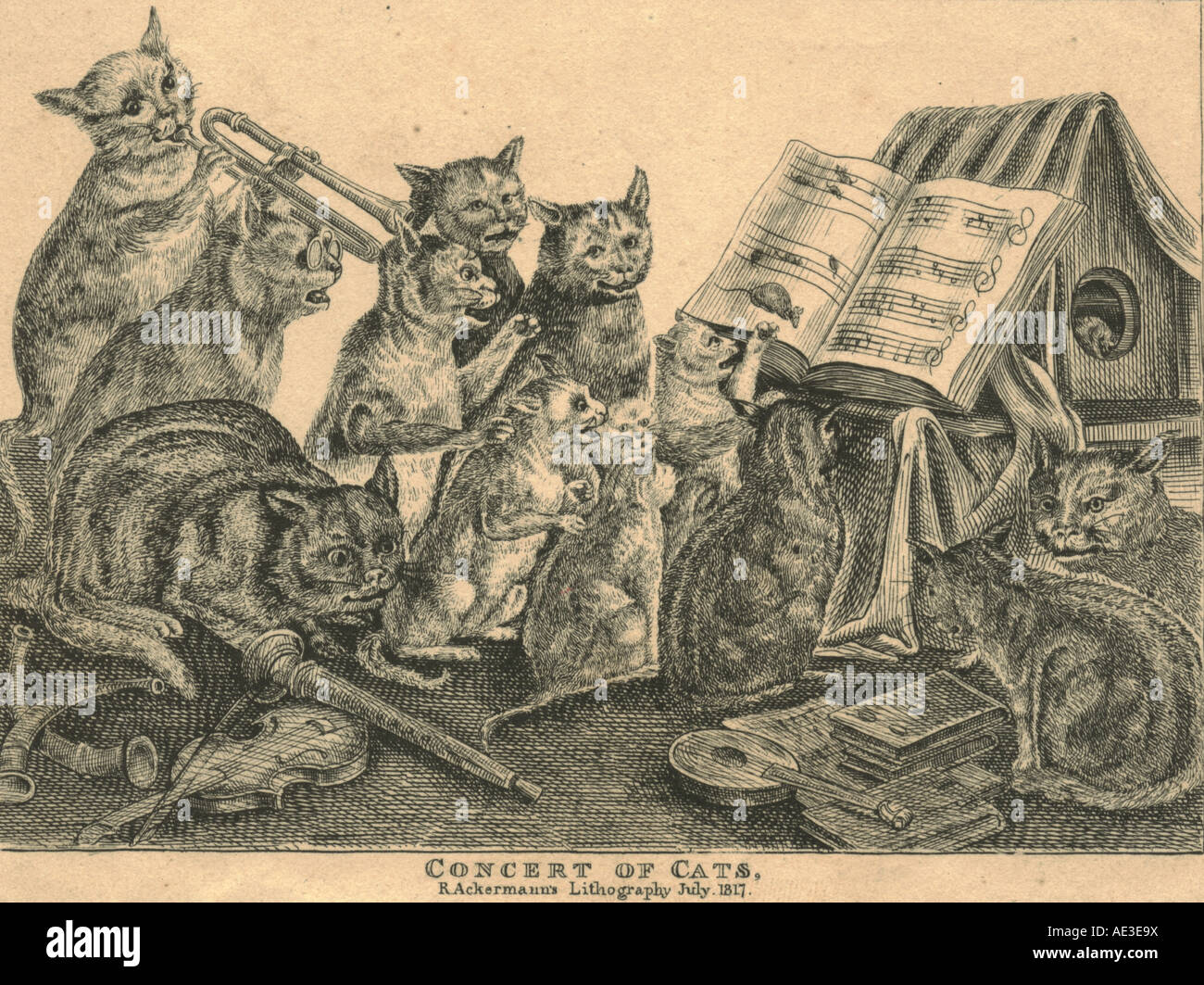 The Concert of Cats by R Ackermann 1817 Stock Photo - Alamy