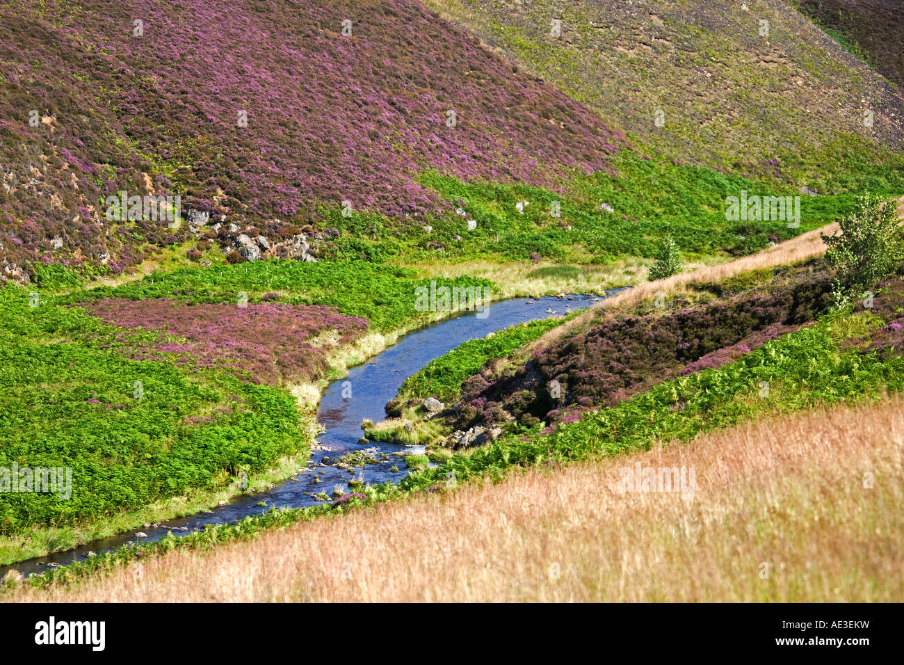 Beauty of the borders Scotland Stock Photo - Alamy