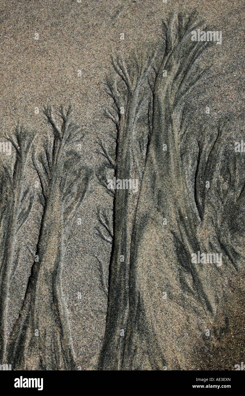 Sand Rivulets Pattern High Resolution Stock Photography and Images - Alamy