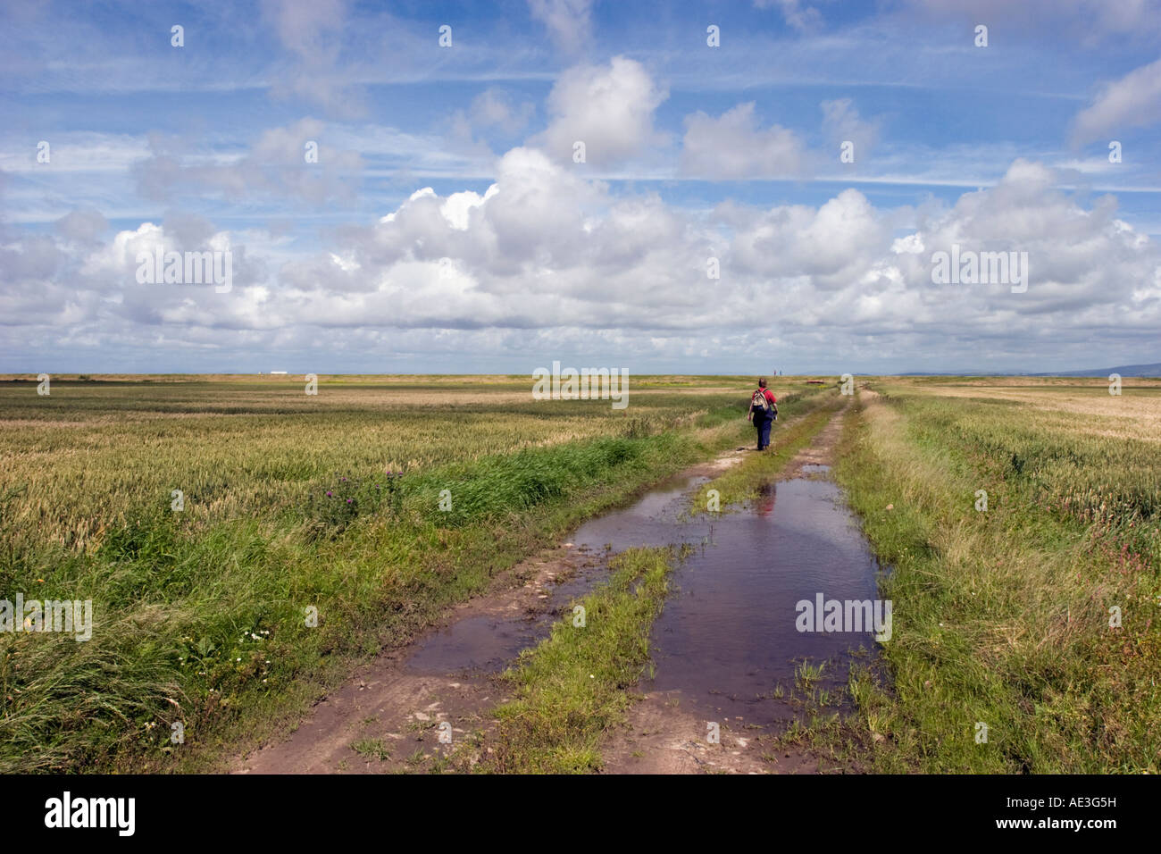 Pilling lancashire hi-res stock photography and images - Alamy