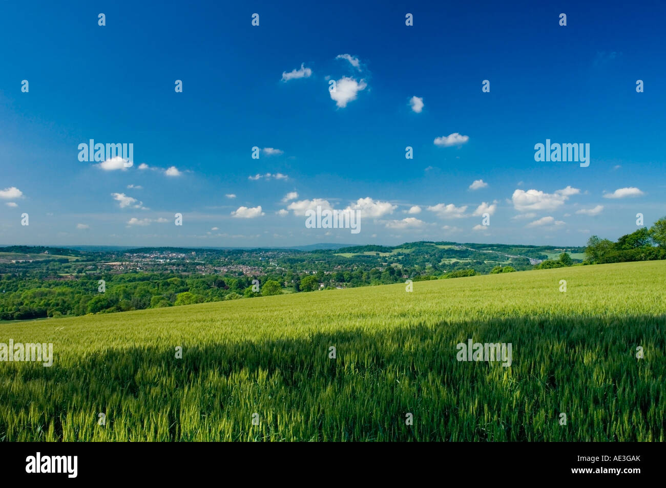 Chaldon hi-res stock photography and images - Alamy