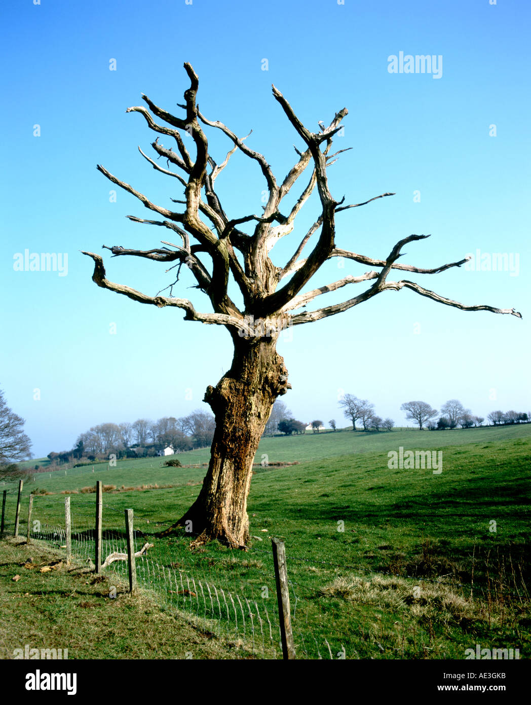 Bonvilston hi-res stock photography and images - Alamy