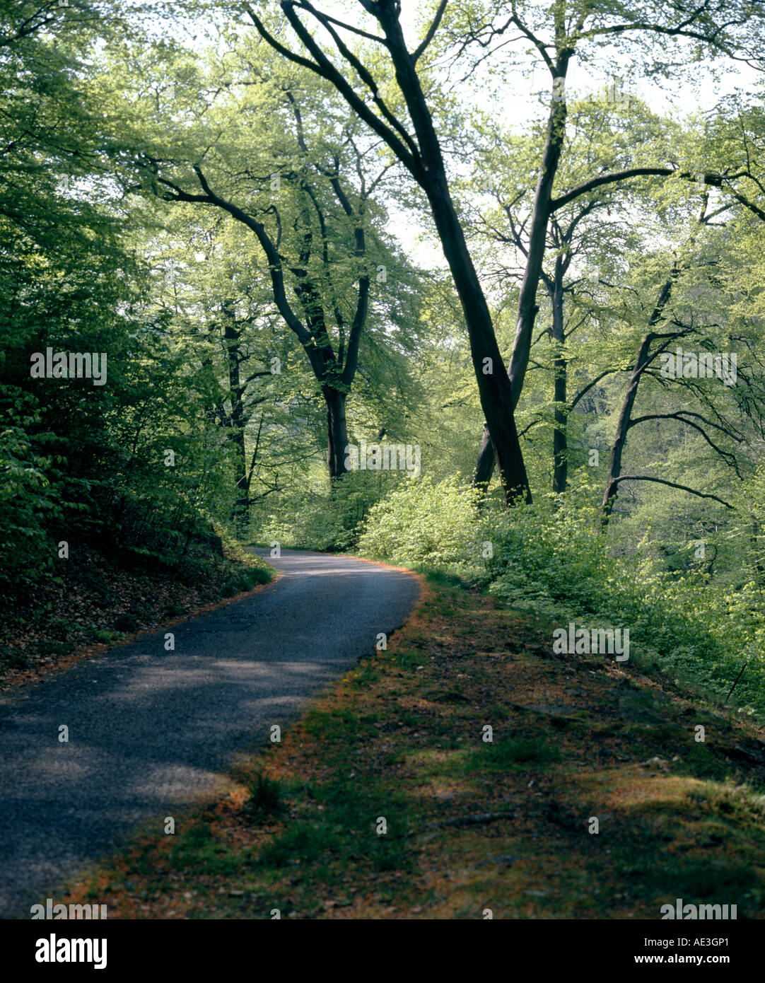 Quakers yard hi-res stock photography and images - Alamy