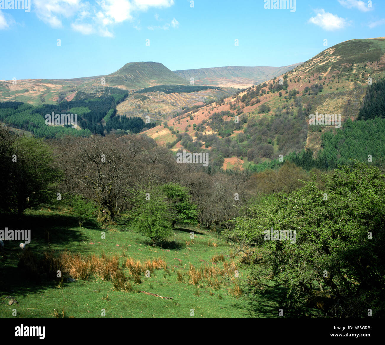 allt forgan from the taff trail torpantau brecon beacons national park ...