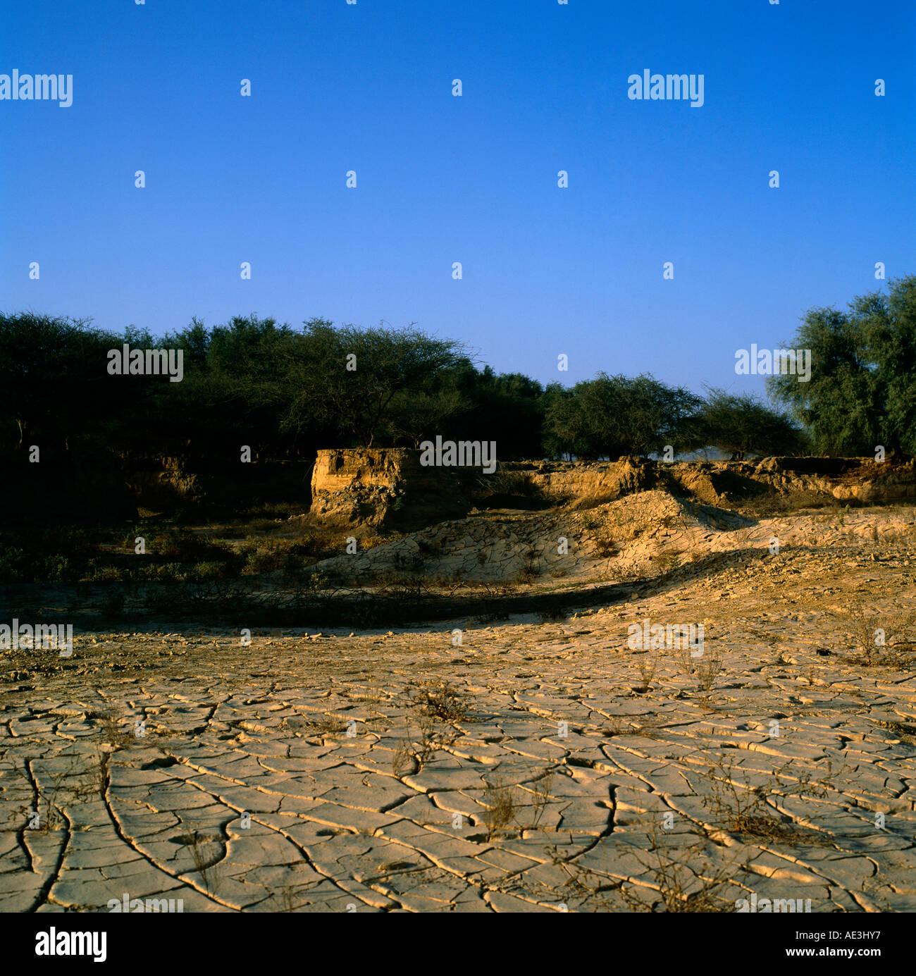 Sharjah UAE Wadi Soil Erosion Seasonal River Stock Photo - Alamy
