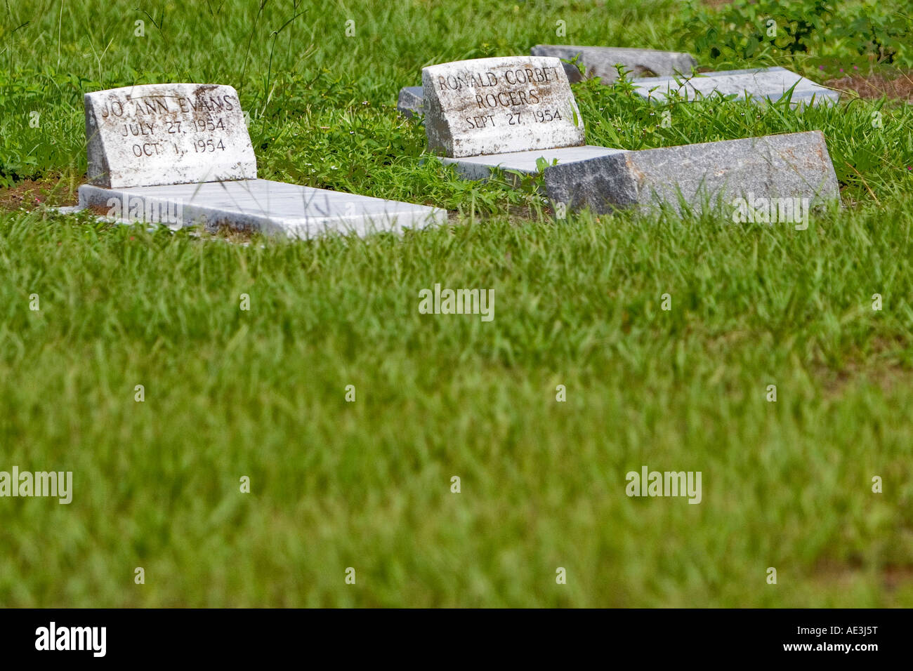 Two 1950's era Human Grave Sites in a Field of Green Grass Stock Photo ...