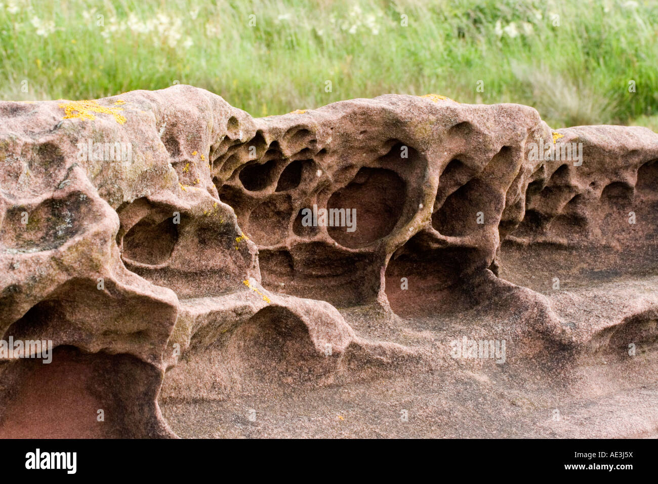 Sandstone pitted hi-res stock photography and images - Alamy