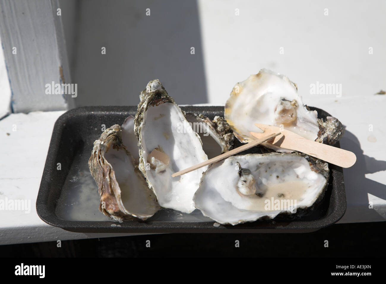 Eaten Oyster shells Stock Photo - Alamy