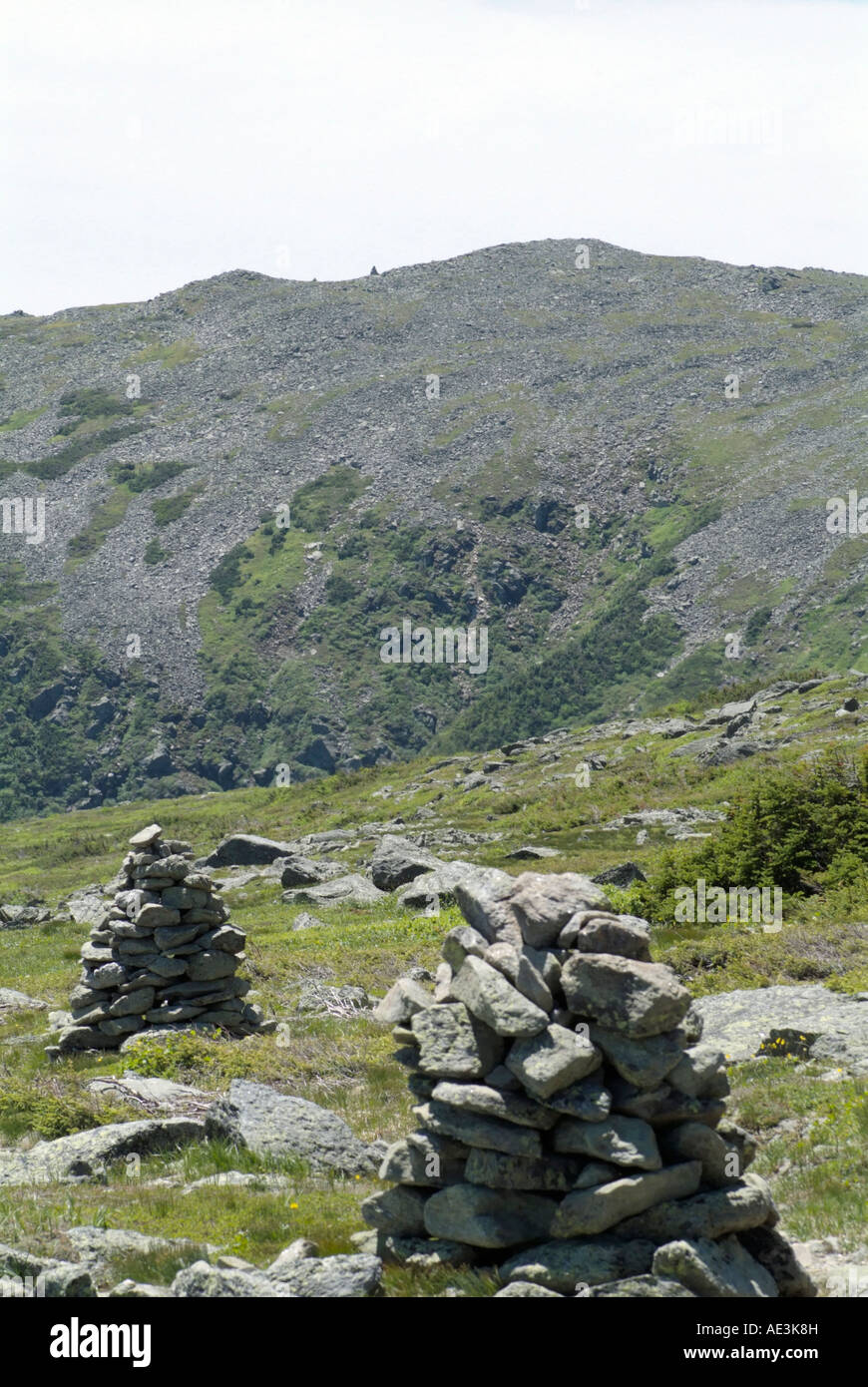 Mount Washington Alpine Garden Trail in the White Mountains, New ...
