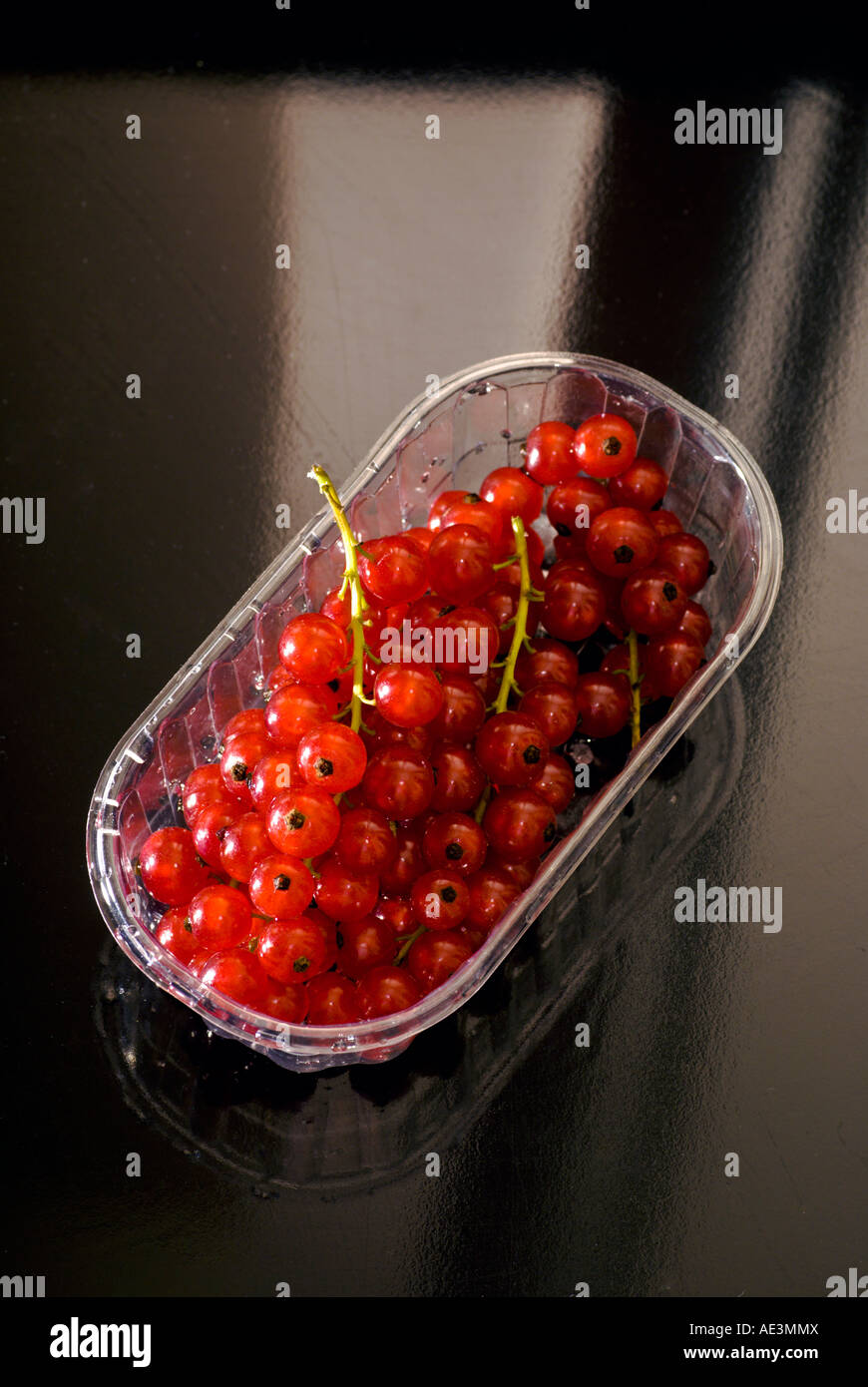 Red berries (currant) in plastic box on black background Stock Photo ...