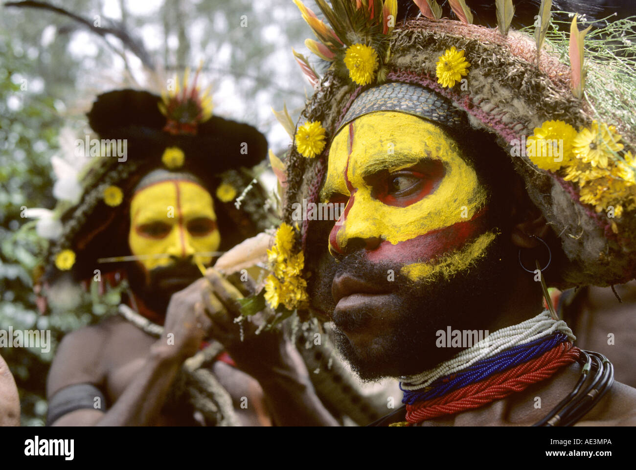 Huli man with painted face Western Highlands Papua New Guinea Stock ...