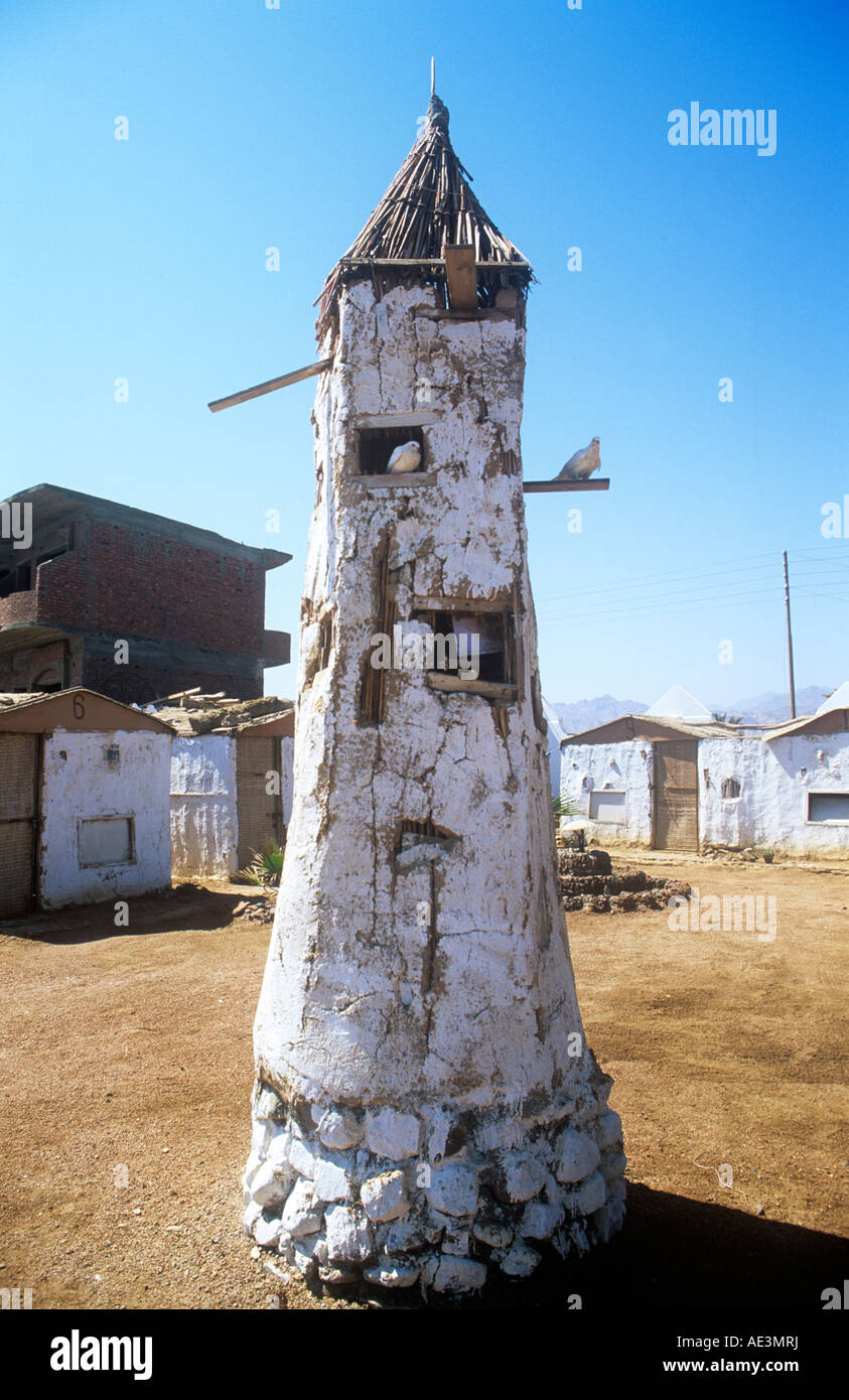 Dove house dahab red sea egypt hi-res stock photography and images - Alamy