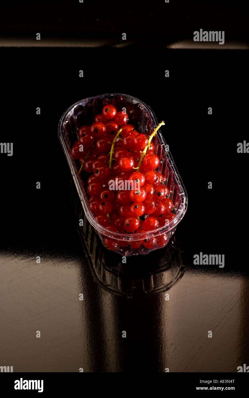 Red berries (currant) on black background in plastic box Stock Photo ...