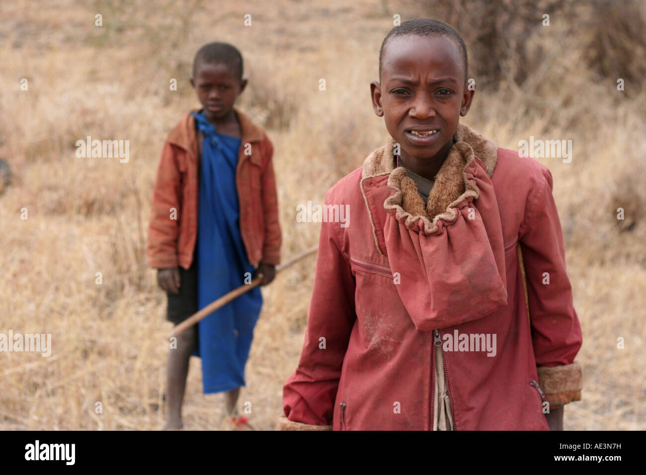 Maasai boys herding goats in Tanzania Stock Photo - Alamy