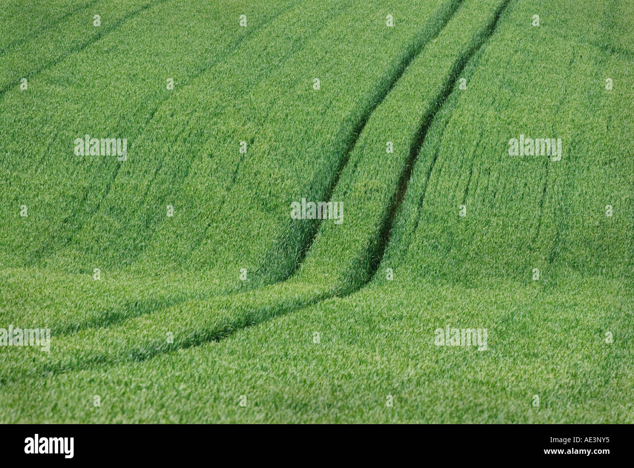 Parrallel lines hi-res stock photography and images - Alamy