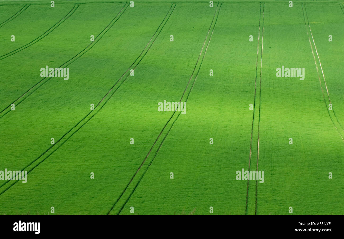 Tractor patterns in wheat hi-res stock photography and images - Alamy