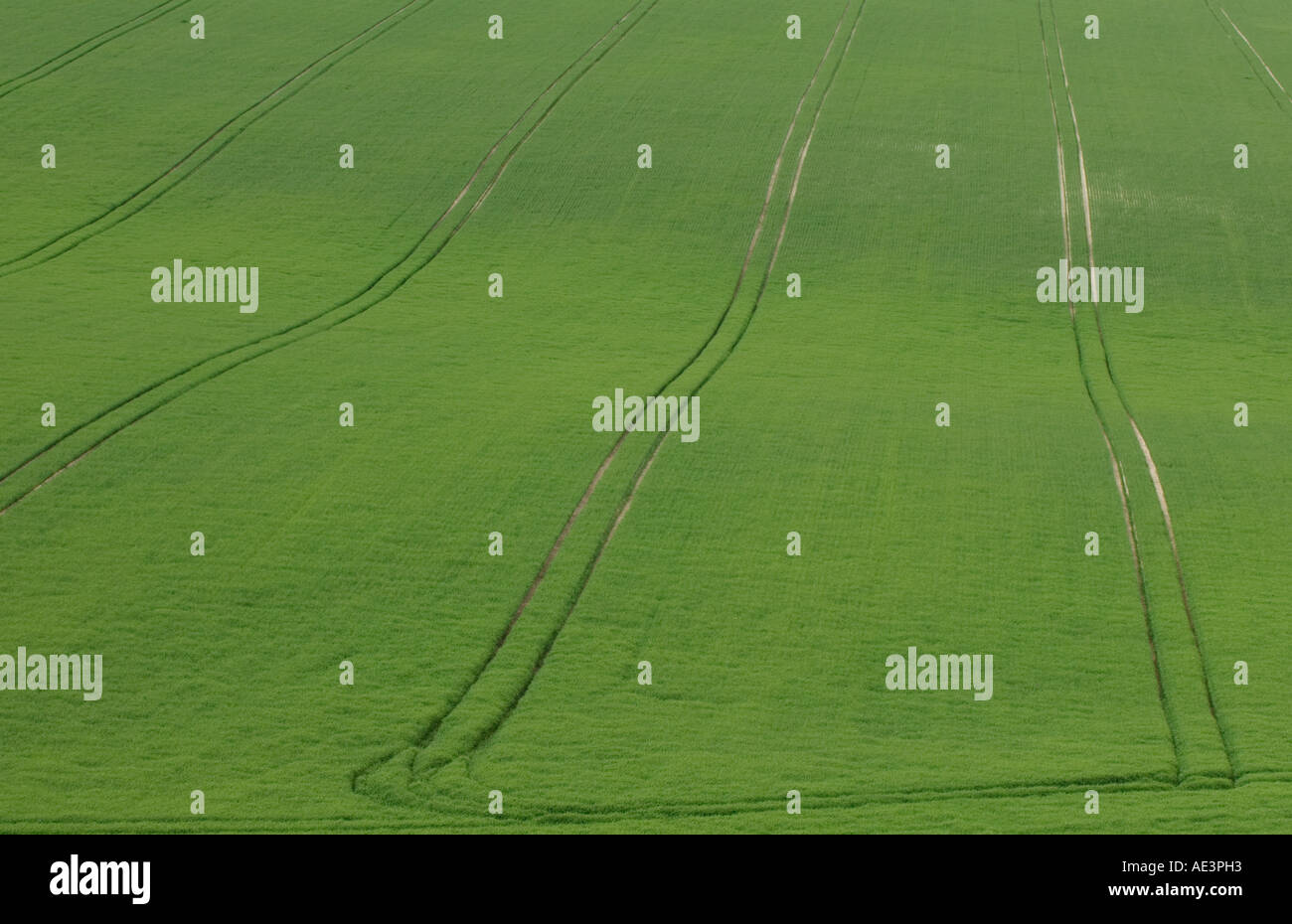Tractor marks in wheat fields Stock Photo - Alamy