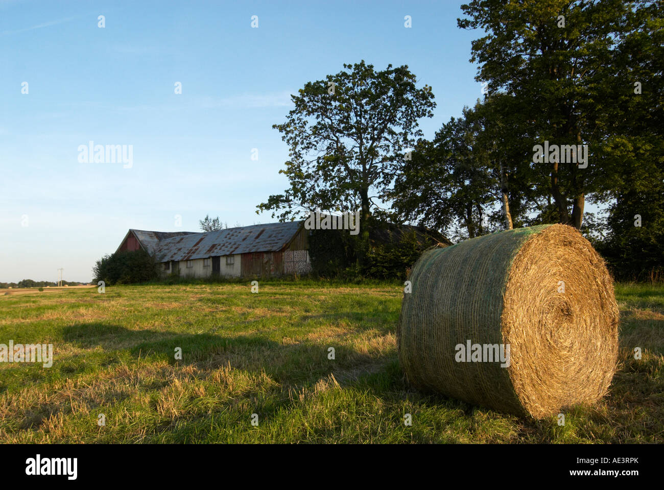 Bal of hay hi-res stock photography and images - Alamy