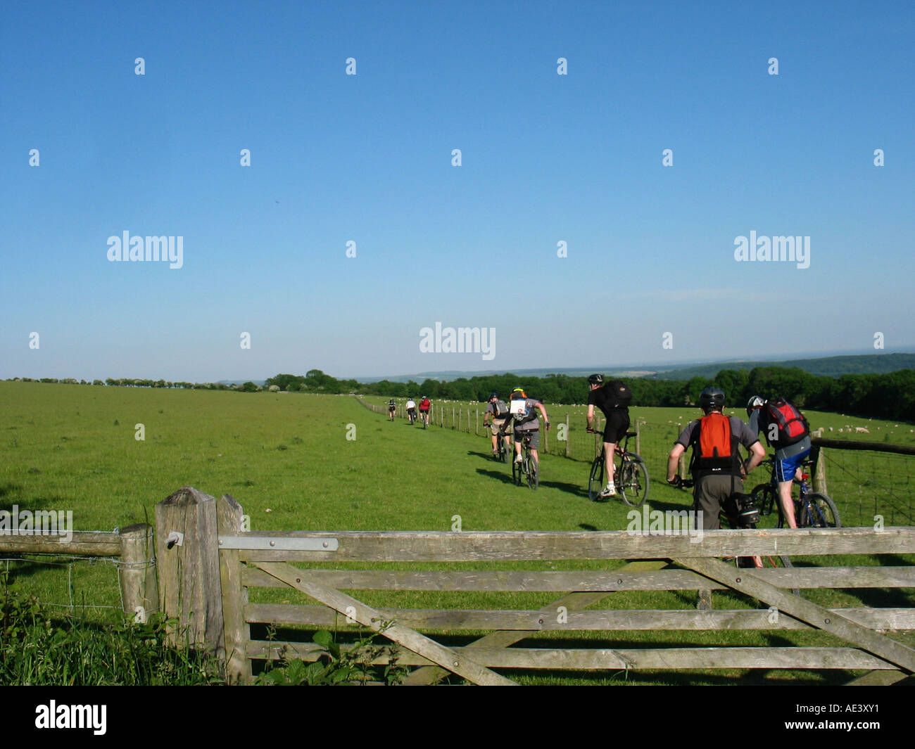 Mountain Bike Group Stock Photo - Alamy
