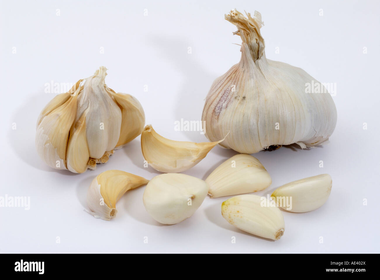 Garlic (Allium sativum), bulbs and cloves, studio picture Stock Photo ...