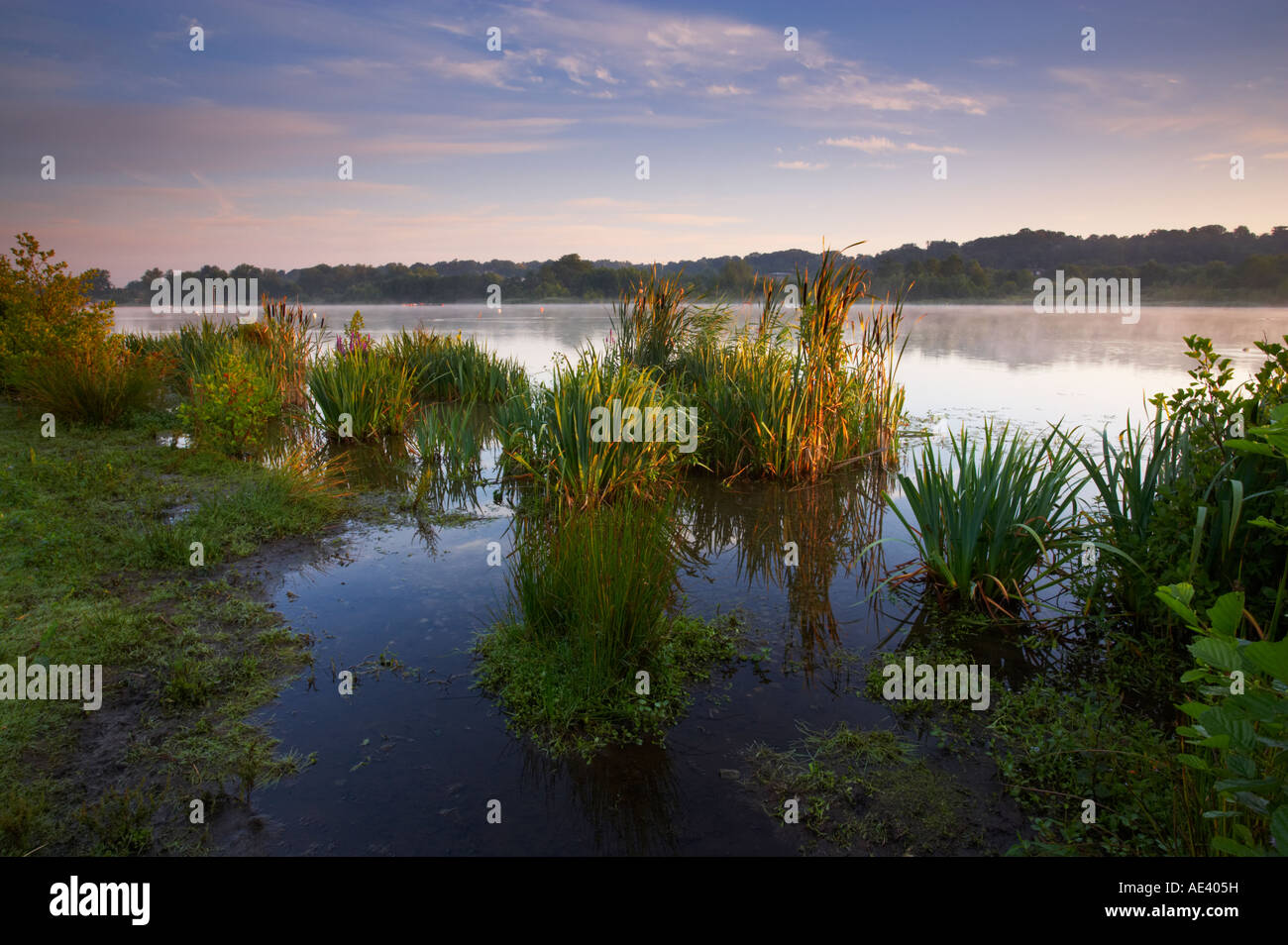 Whitlingham country park norwich hi-res stock photography and images ...