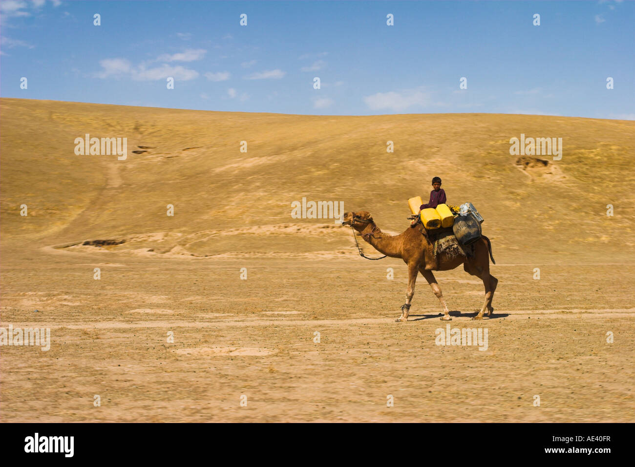 Boy riding camel hi-res stock photography and images - Alamy