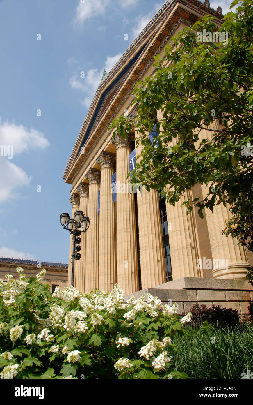 Philadelphia Museum of Art exterior vertical of columns with flowers ...