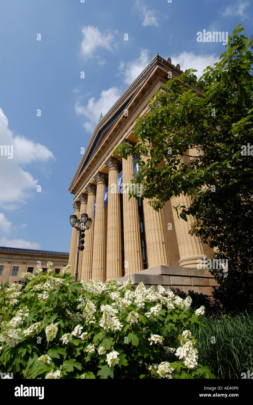 Philadelphia Museum of Art exterior vertical of columns with flowers ...