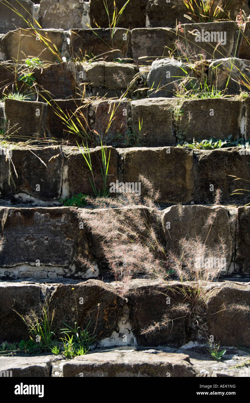 The ancient Zapotec city of Monte Alban, near Oaxaca City, Oaxaca ...