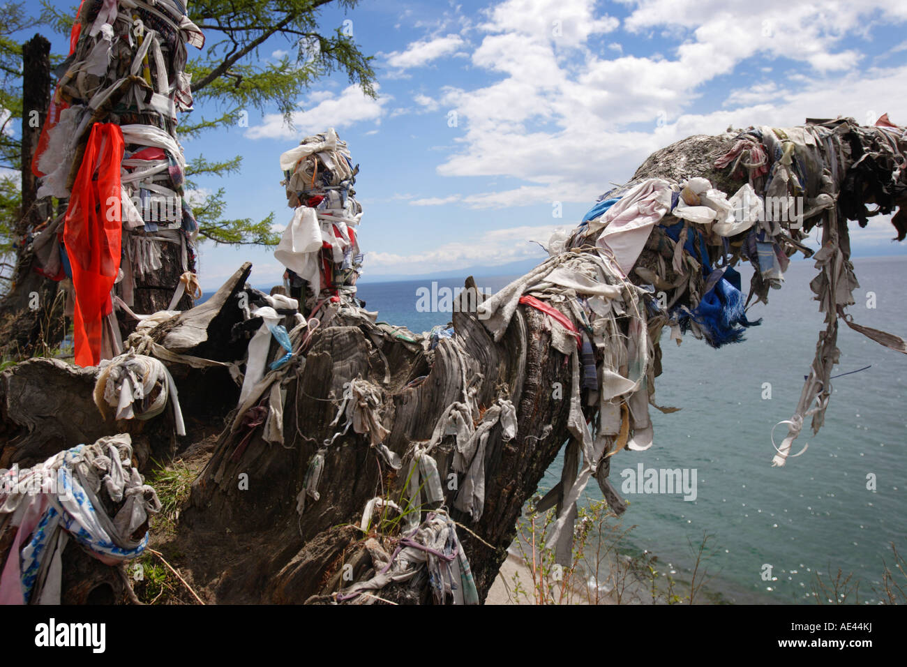 Shamanic tree hi-res stock photography and images - Alamy