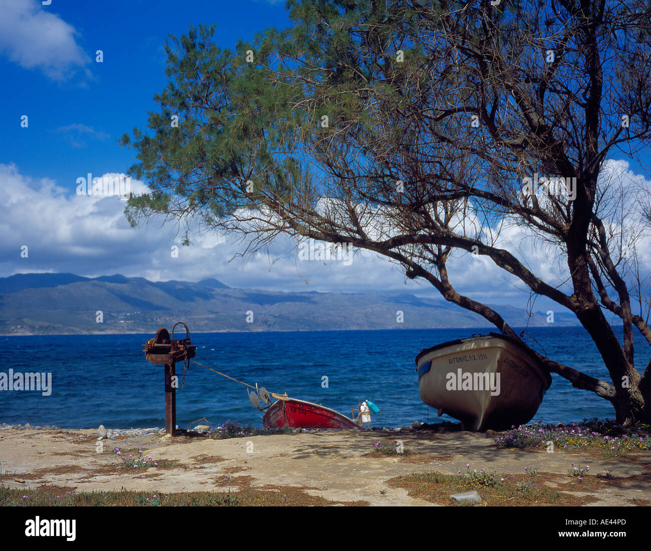 beach with fishing boats under a single olive tree near Hania at ...