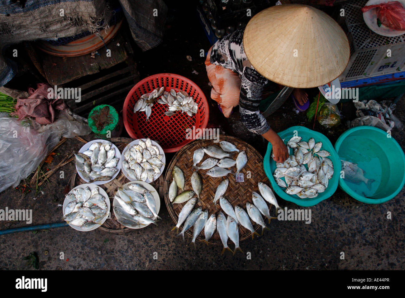 Fresh fish at the city market, Da Nang, Vietnam, Indochina, Southeast ...