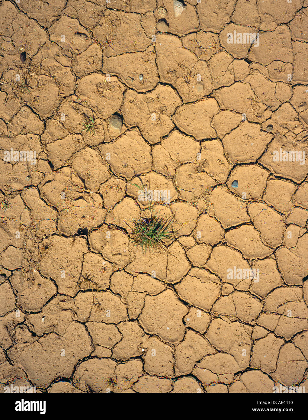 dry soil Crete Greece Europe. Photo by Willy Matheisl Stock Photo - Alamy