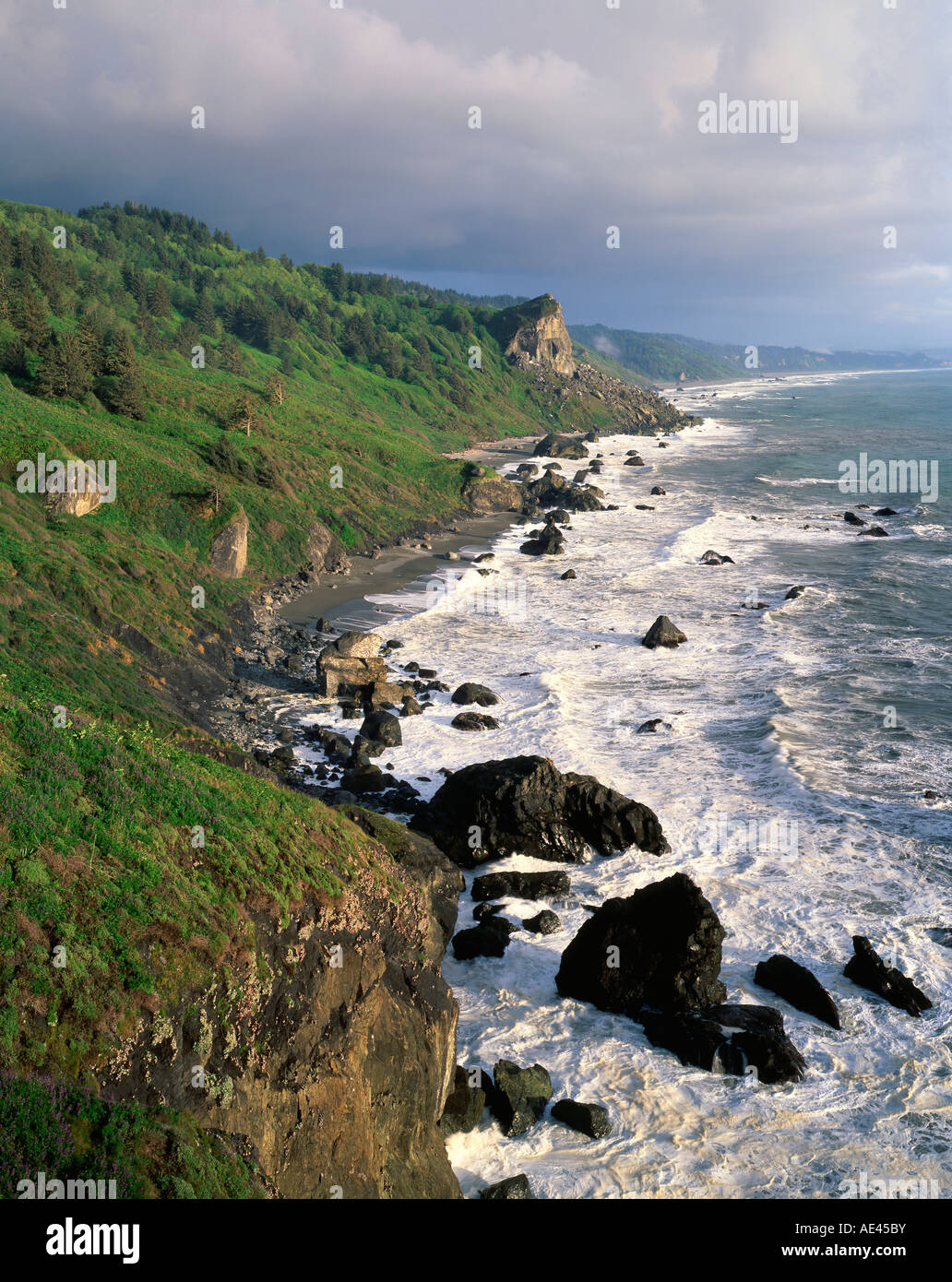 Redwood National Park Pacific Ocean California USA Stock Photo - Alamy