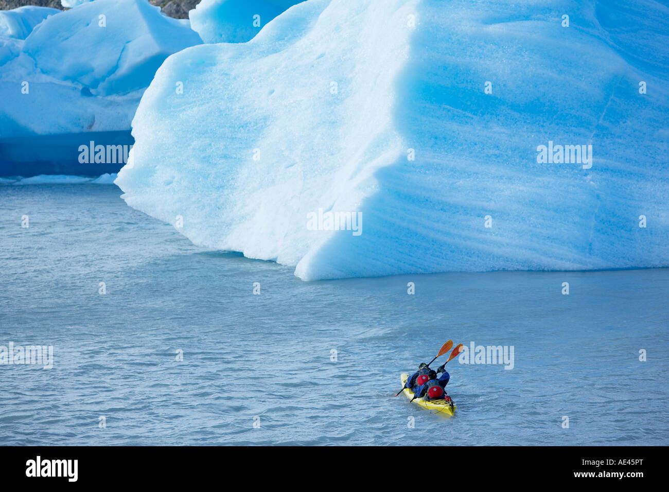 Kayaking near floating icebergs, Lago Gray (Lake Gray), Torres del ...